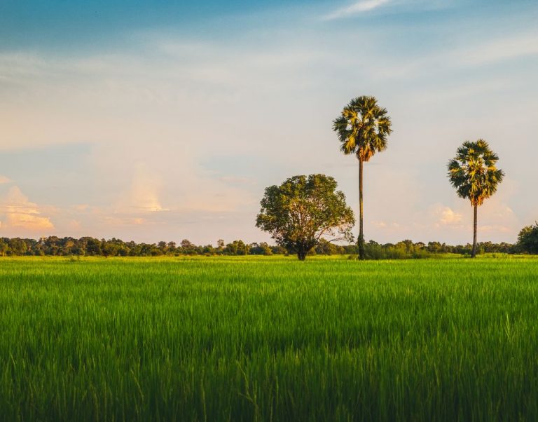 Emigrating to Paraguay: The Ultimate Guide