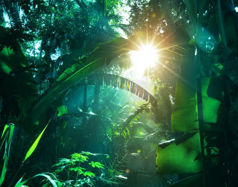 Climate and Weather in Paraguay: Living with Nature