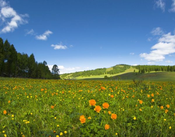 Discovering the Potential for Appreciation of Land in Paraguay